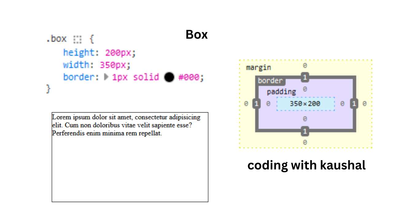 Css Box Model Know The Basics Coding With Kaushal Programming Coach Fullstack Developer